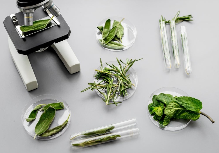 Search results | LMS@PSU